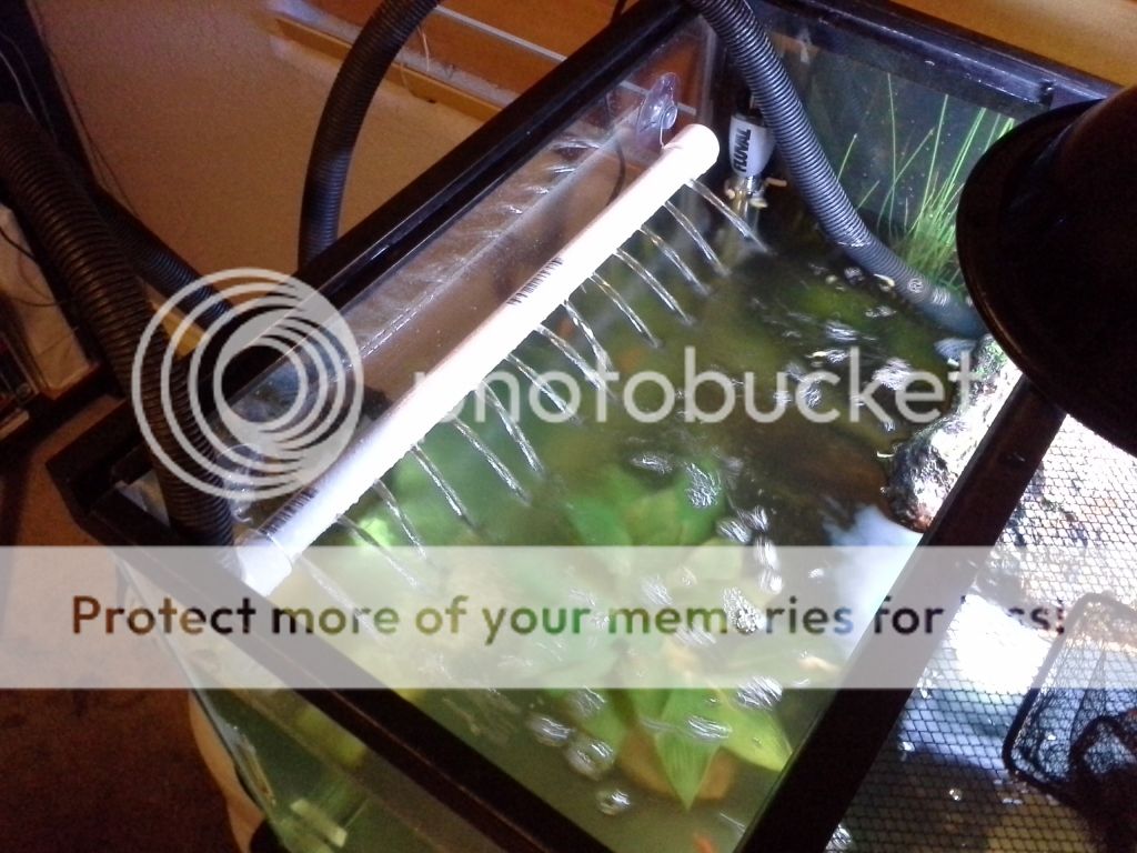 Redearslider.com :: View topic - My newly made DIY Spray Bar!!