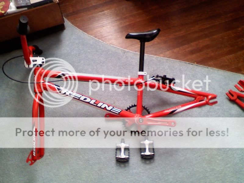 BMXmuseum.com For Sale / 2011 Redline proline micro mini