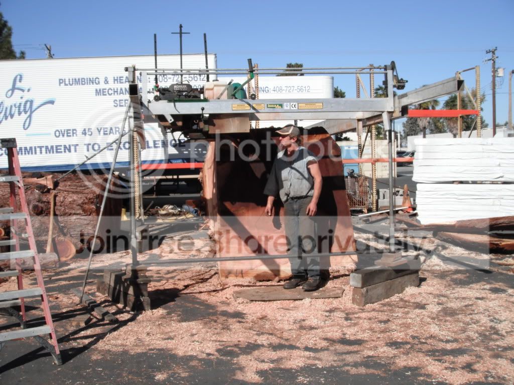 Milling Giant Sequoia Arborist Chainsaw Tree Work Forum