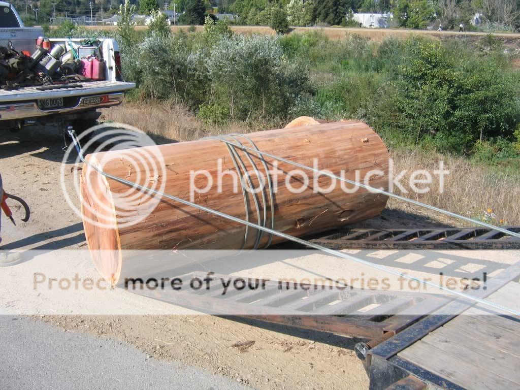 Rigging question. Sort of. | Arborist, Chainsaw & Tree Work Forum