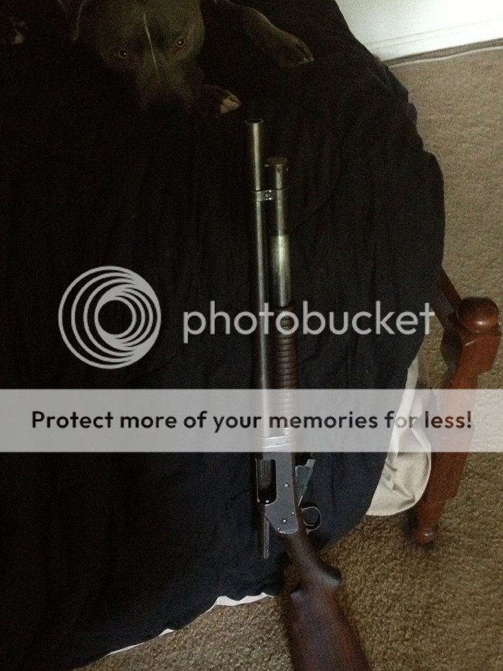 SHOTGUN PoRn | Page 21 | Maryland Shooters Forum - Weapon Discussions ...