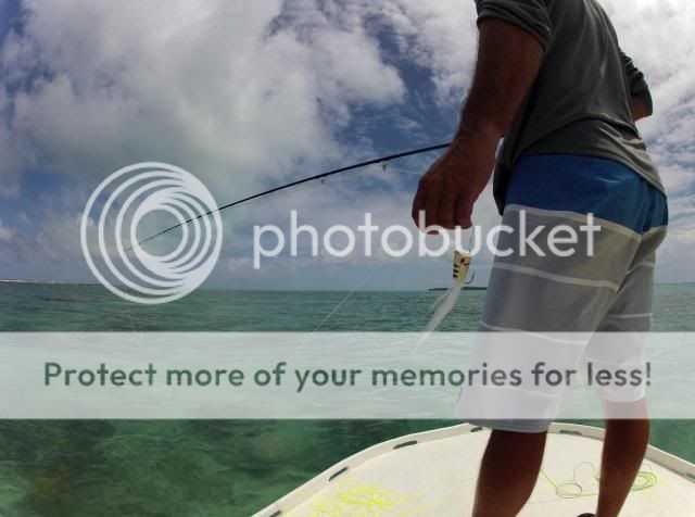 » Topic: NYAP (Not your average popper) Other SW poppers